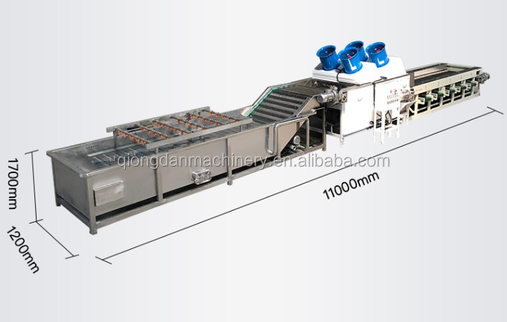 Comprehensive Guide to Fruit Sorting and Washing Machines for Food ...