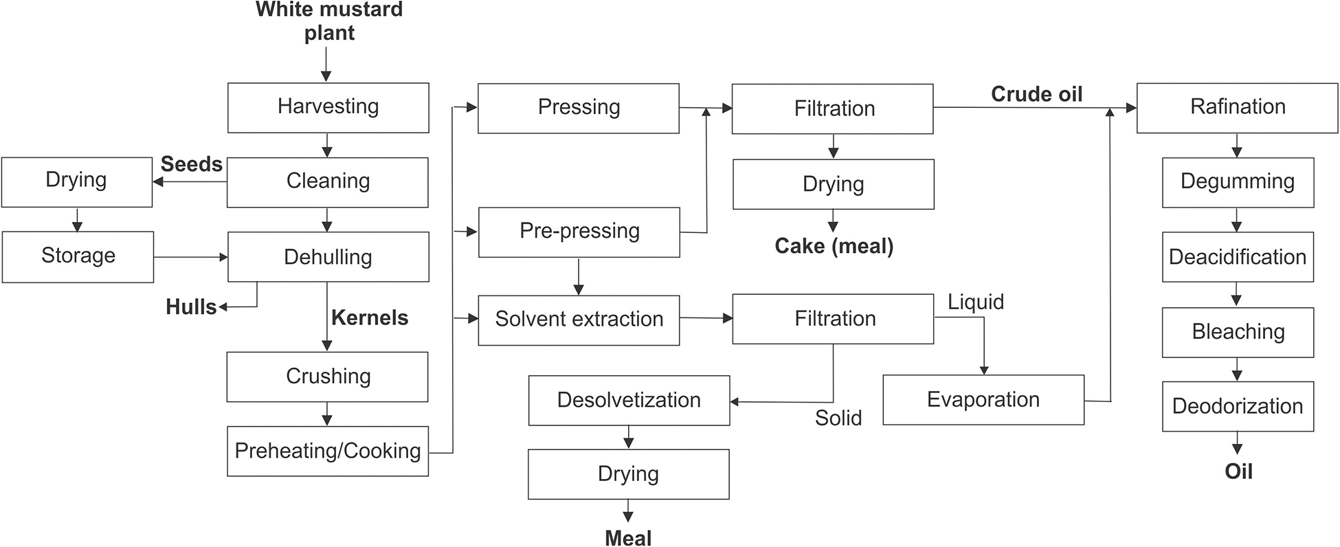 Top 9 Mustard White Seeds Manufacturers 2026