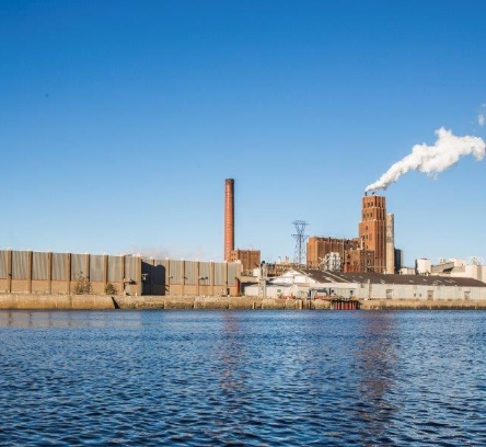 Top 10 Bulk Rolls Of Paper Manufacturers 2026