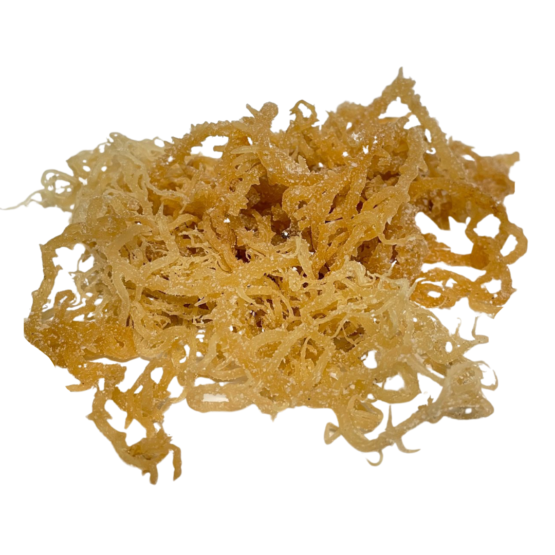 Top 7 Irish Moss Wholesale Manufacturers 2026